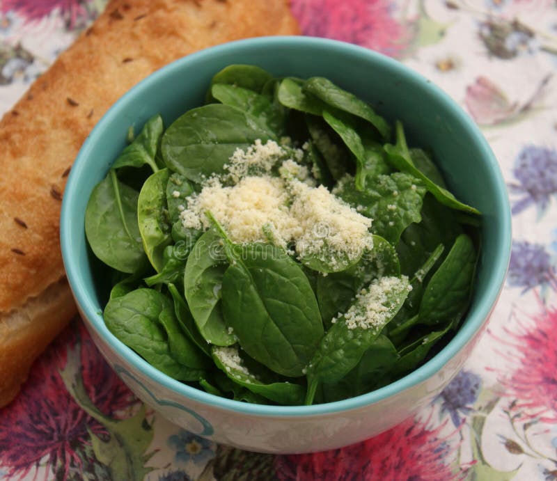 Salad of spinach stock photo. Image of starter, food - 93543918