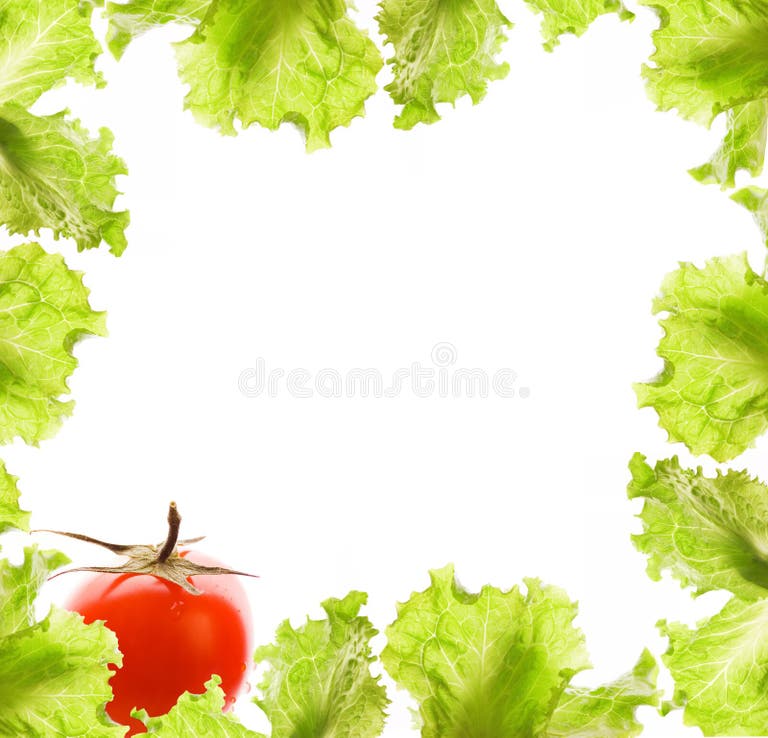 Salad and tomato border stock image. Image of kitchen - 2319031