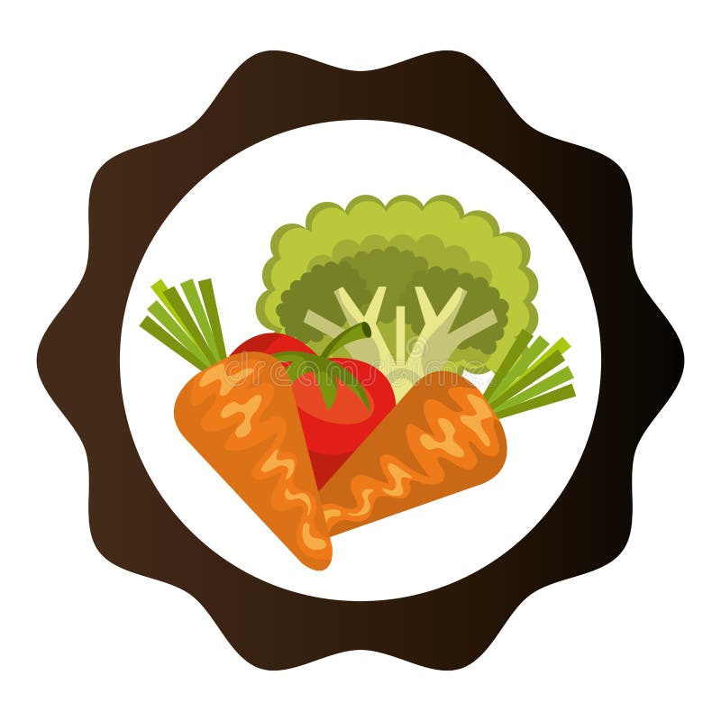Salad Vegetables Fresh Icon Stock Illustration - Illustration of cook ...