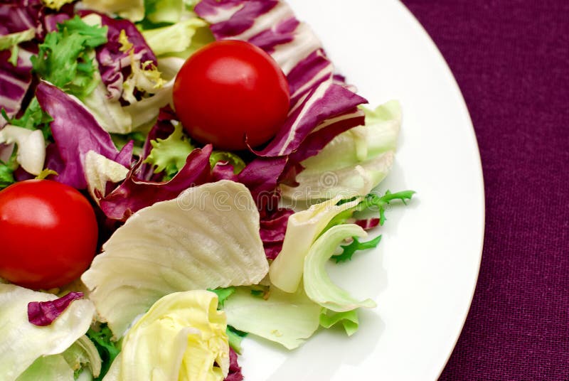 Salad in violet stock image. Image of greens, meals, dinner - 17755557