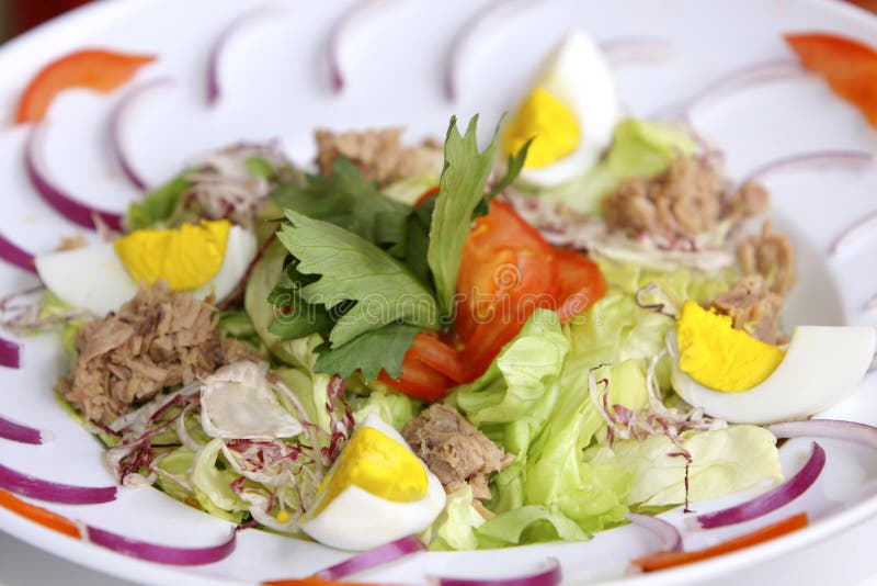 Salade Mixte Avec L'oeuf Et Le Thon Image stock - Image du plaque ...