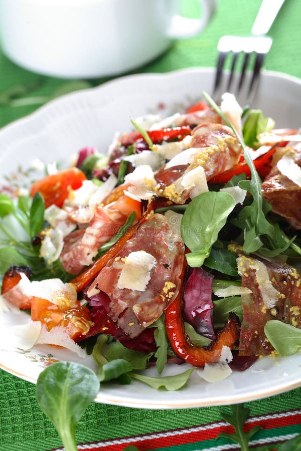 Salade Mixte Avec Le Salami Image. Image: 2499307