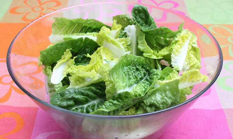 Salade verte photo stock. Image du vivacité, salade, vert - 42148054