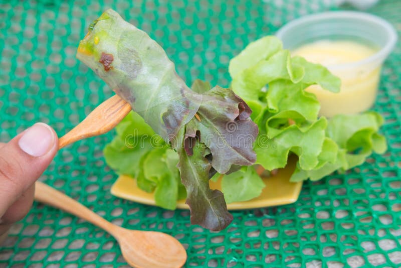 Salads Roll, Fresh Vegetable Noodle Spring Roll Stock Photo - Image of ...