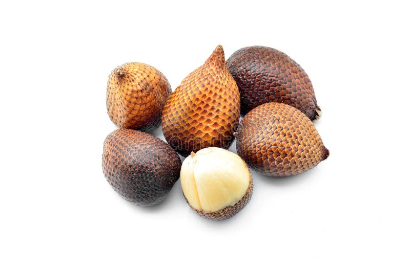 Salak Fruit stock image. Image of closeup, skin, delicious - 32255373