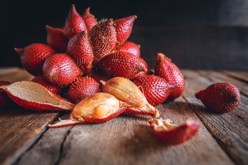 Salak fruits stock photo. Image of salak, plant, food - 73072392