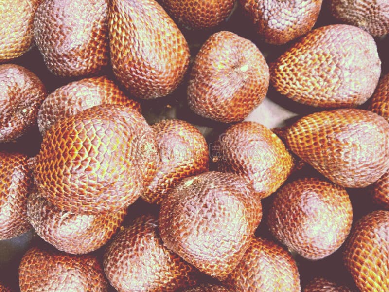 Salak stock photo. Image of fruit, desert, salak, food - 101986238