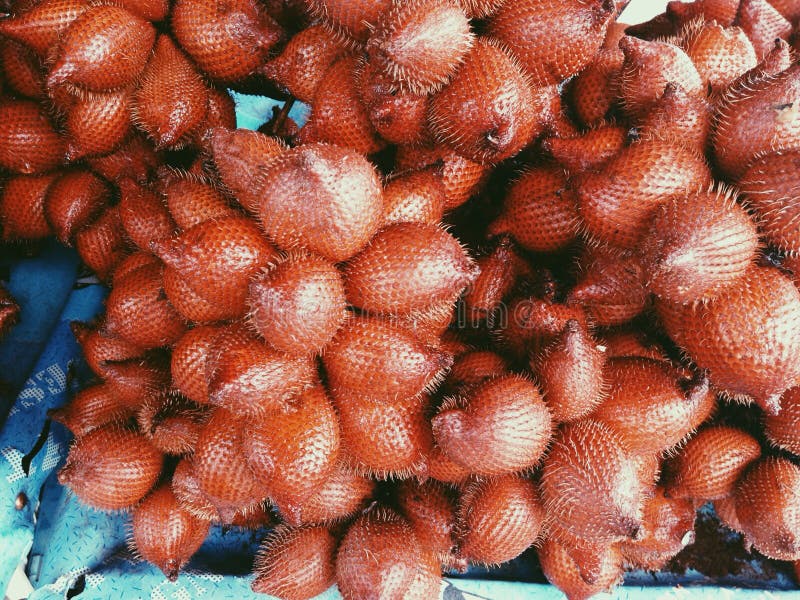 Salak stock image. Image of healthy, tropical, thai, asia - 43268277