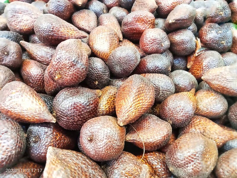 Salak is a Type of Palm with Edible Fruit. Salak is Also Known As Sala ...
