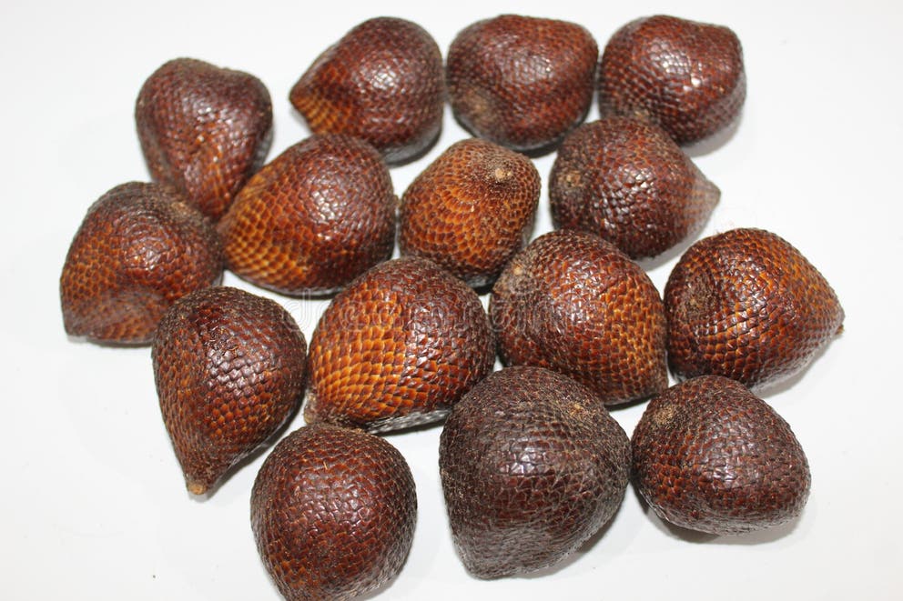 Salak is a Type of Palm Whose Fruit is Commonly Eaten in English and is ...