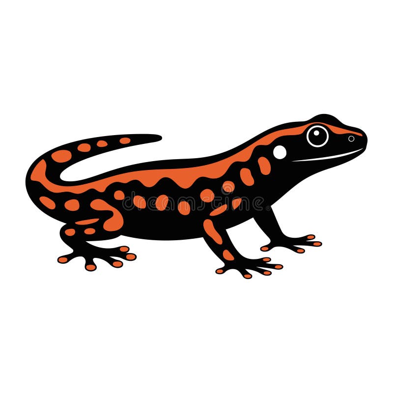 Stylized Illustration of a Salamander, Featuring a Black Body with ...