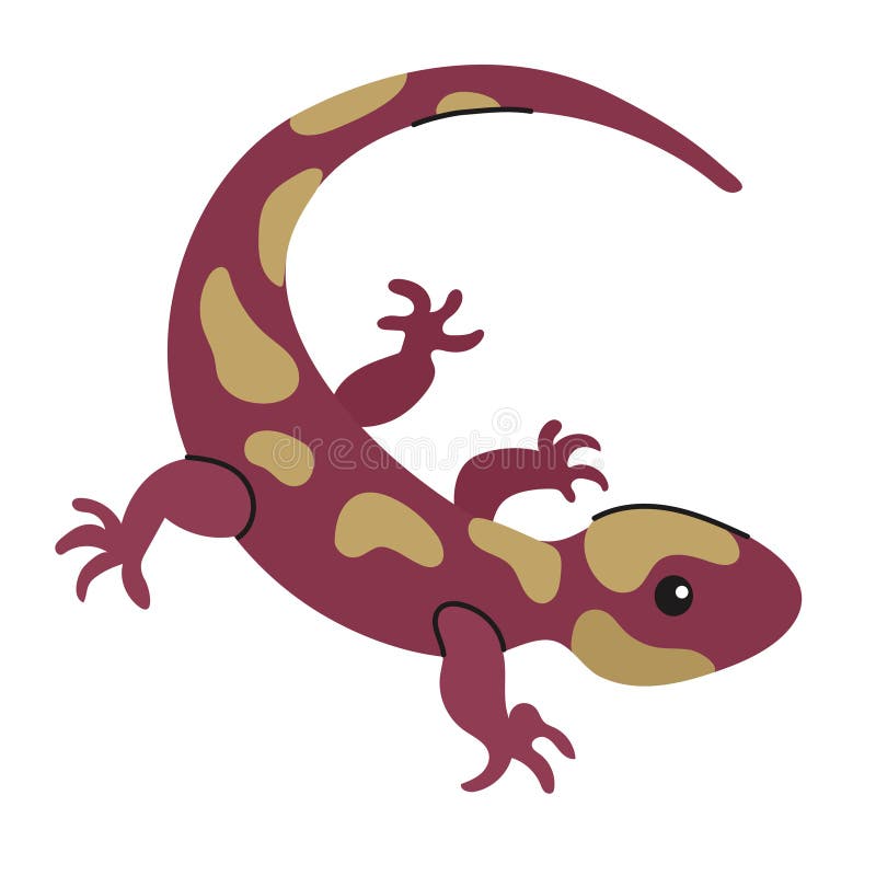 Salamander Clipart Stock Illustrations – 634 Salamander Clipart Stock ...
