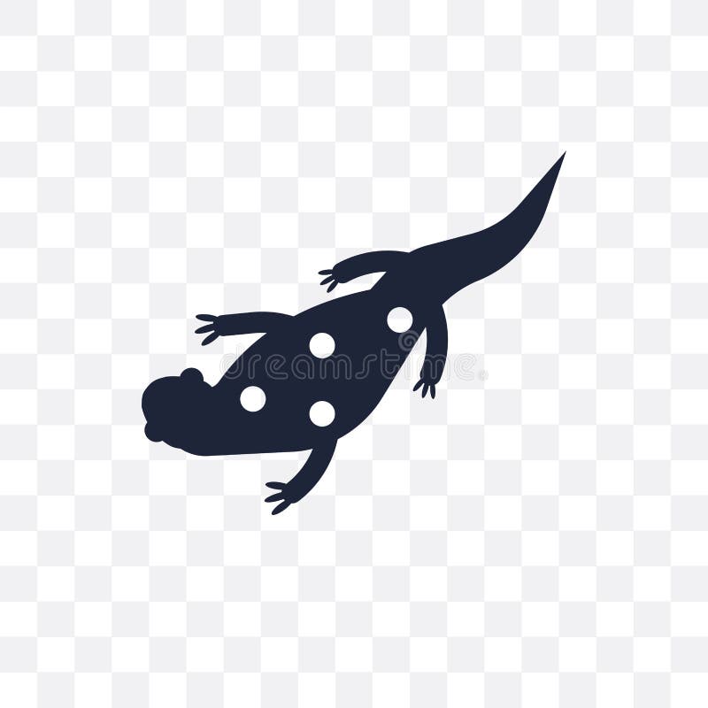 Salamander Transparent Icon. Salamander Symbol Design from Animals ...