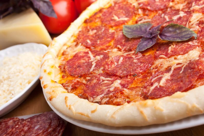 Salami Pizza stock photo. Image of mozzarella, nutritious - 38313398