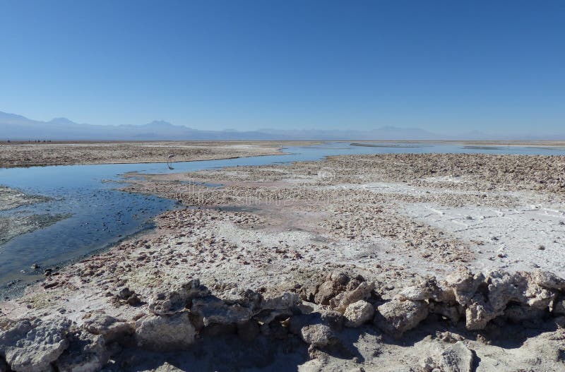 Salar de Atacama, Chile stock image. Image of salt, flats - 81265445