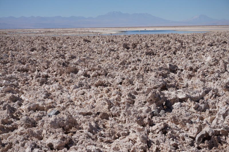 Salar de Atacama, Chile stock image. Image of chilean - 60108061
