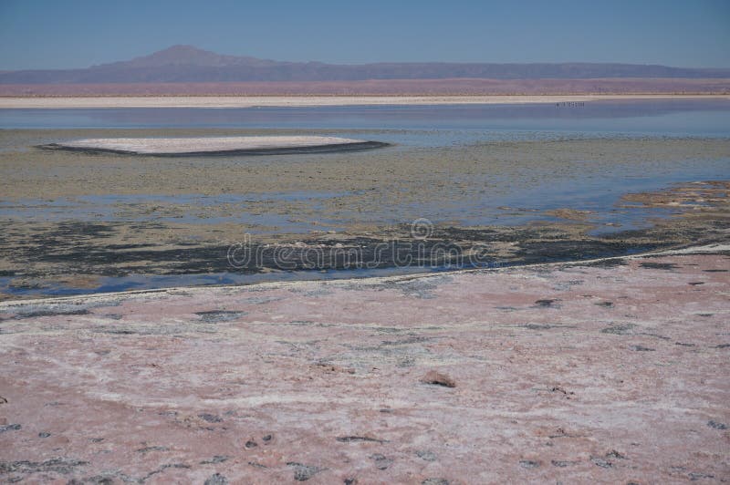 Salar de Atacama, Chile stock photo. Image of beautiful - 60108074
