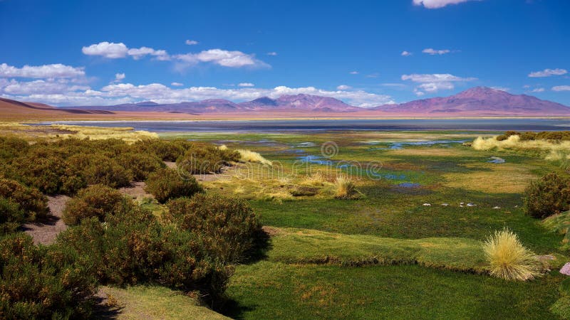 Atacama pustyni wzgórza zdjęcie stock. Obraz złożonej z formacja - 83052326