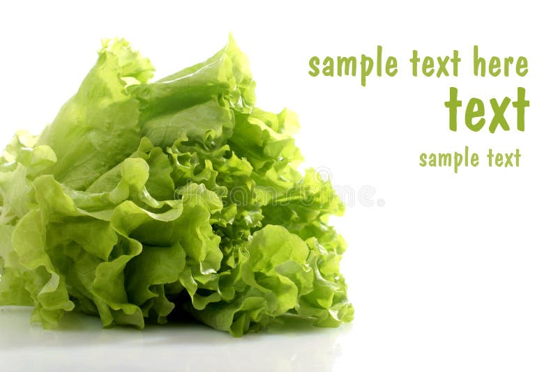 Salat. stock image. Image of leaves, fresh, background - 17981519