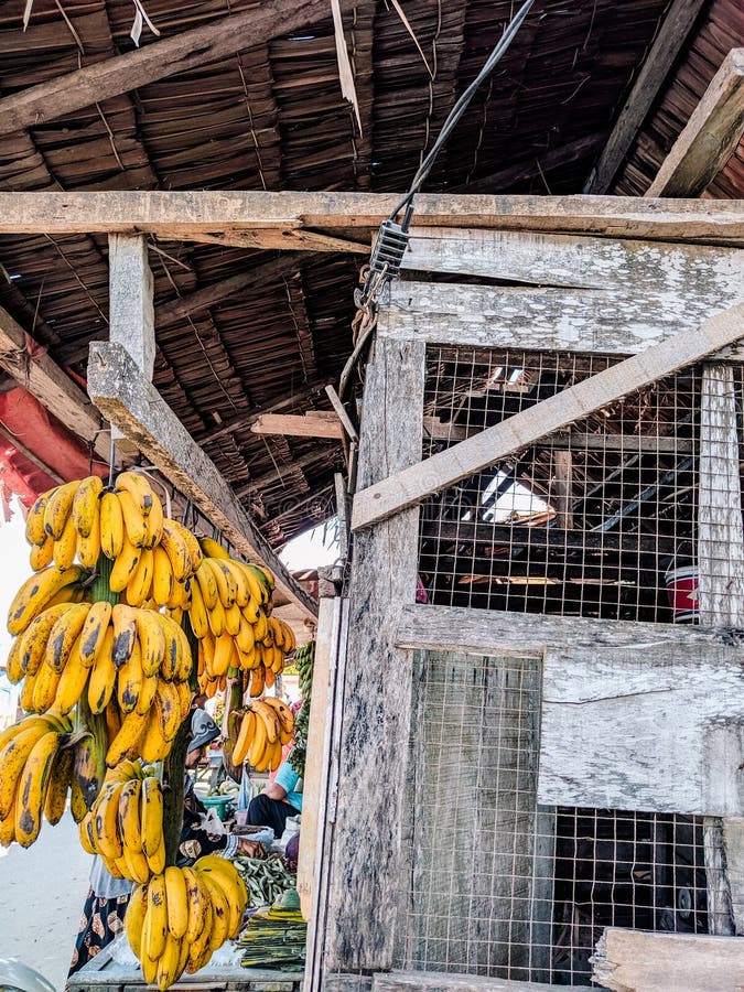 Sale Banana at the store stock image. Image of market - 211780219