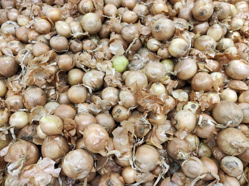 Sale of Onions in Large Quantities Stock Image - Image of closeup ... Sale of Onions in Large Quantities Stock Image - Image of closeup ...