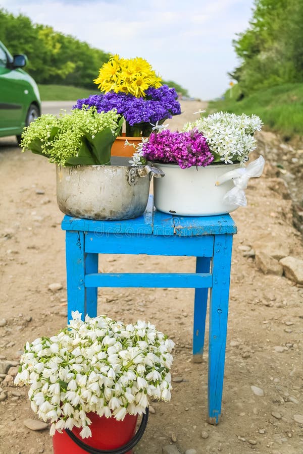 Sale of Spring Flowers by the Roadside Stock Image - Image of lilac ...