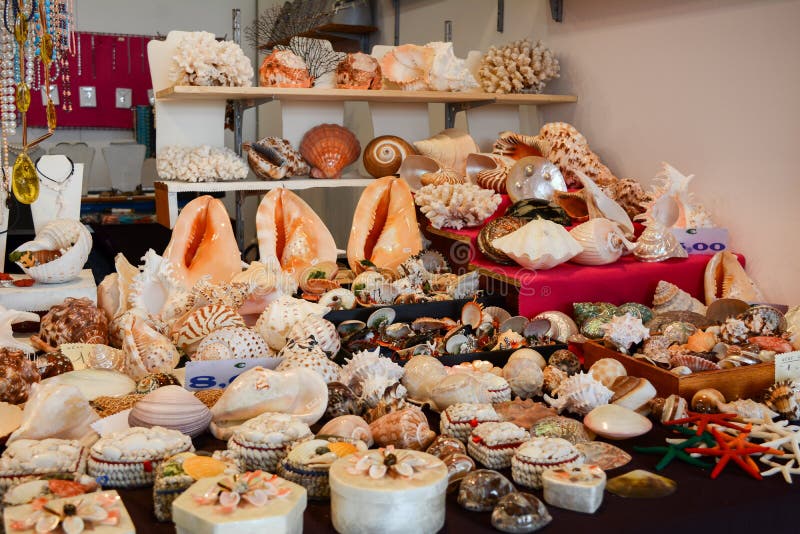 Sale of tropical shells stock photo. Image of sale, design - 99853612