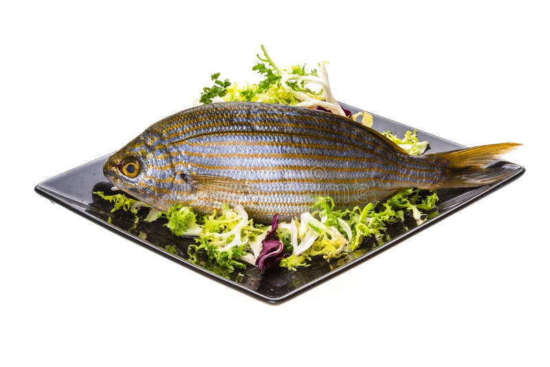 Salema porgy - sarpa fish stock photo. Image of market - 30767462