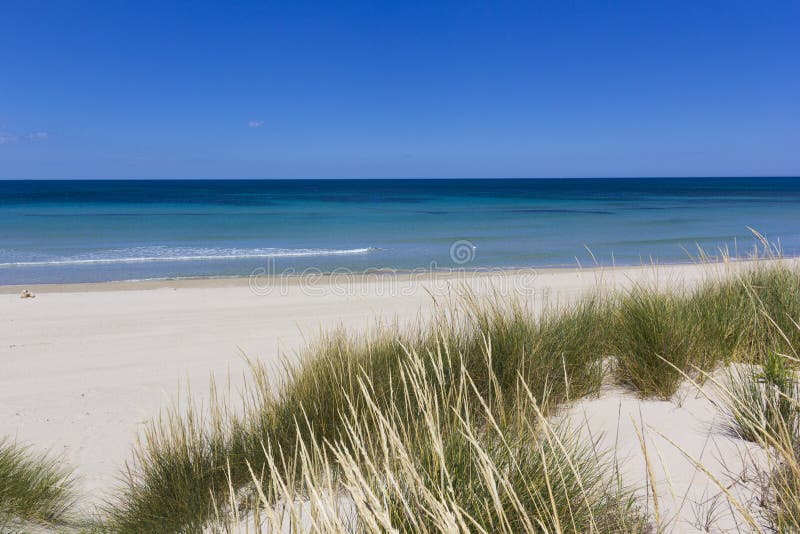 Salento beach stock image. Image of beach, sandy, sand - 71860635