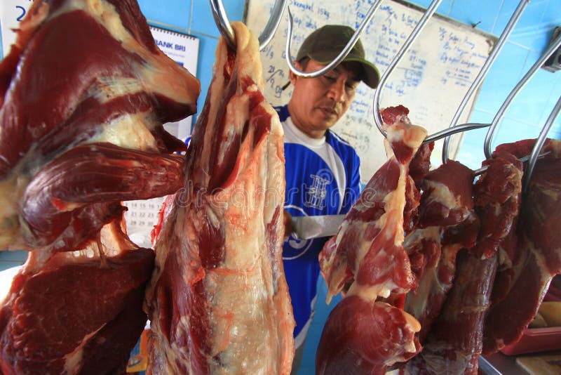 Sales Beef Cattle Breeding Production Affected Editorial Image - Image ...