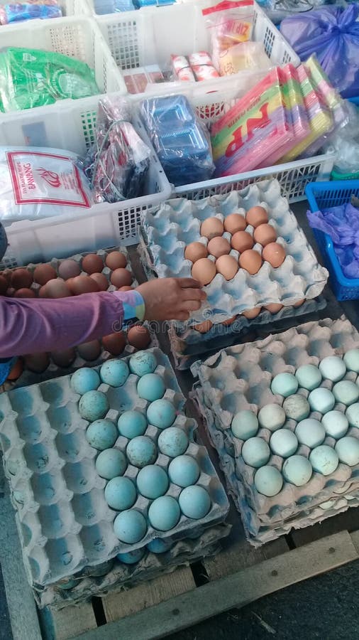 Sales in the Market for Example Eggs Stock Photo - Image of eggs ...