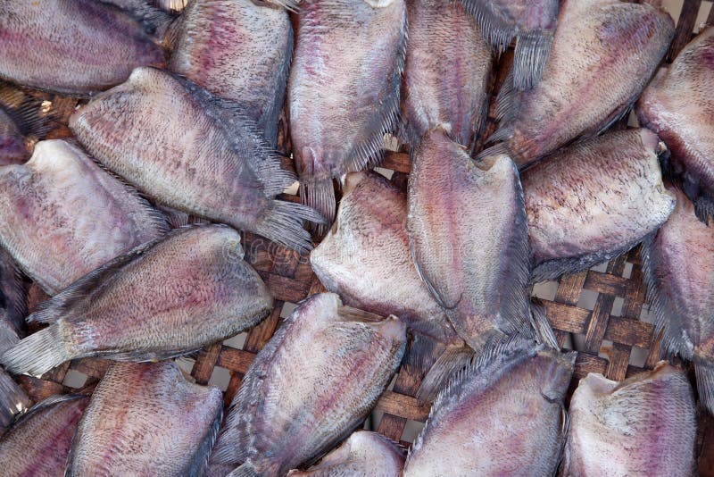 Salid Fish for Sale in Market Stock Photo - Image of exotic, culture ...