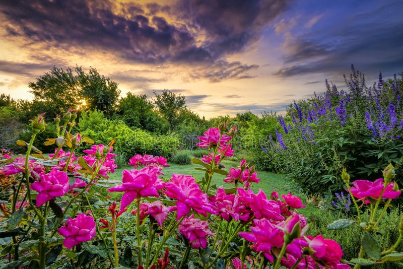 Salida Del Sol Del Patio Trasero Foto de archivo - Imagen de rural ...