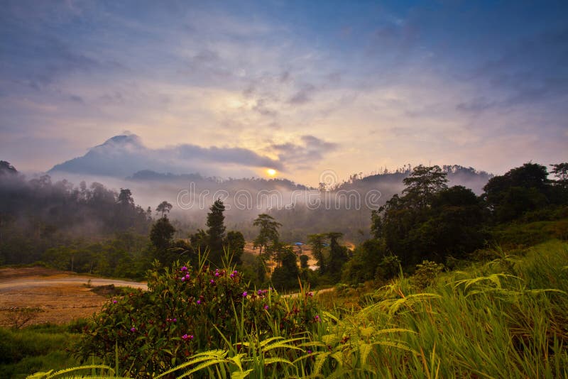 Salida Del Sol En Una Selva Tropical Foto de archivo - Imagen de nubes ...