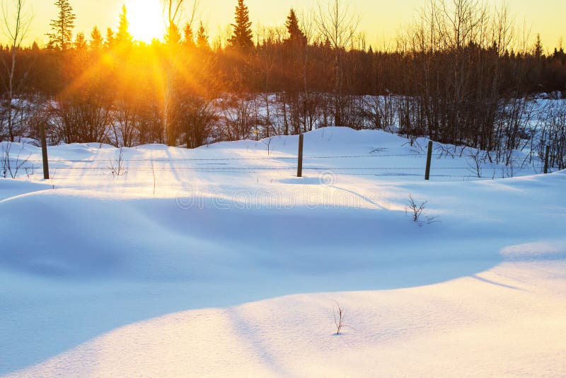 Salida Del Sol Sobre Un Pasto Nevado Foto de archivo - Imagen de ...