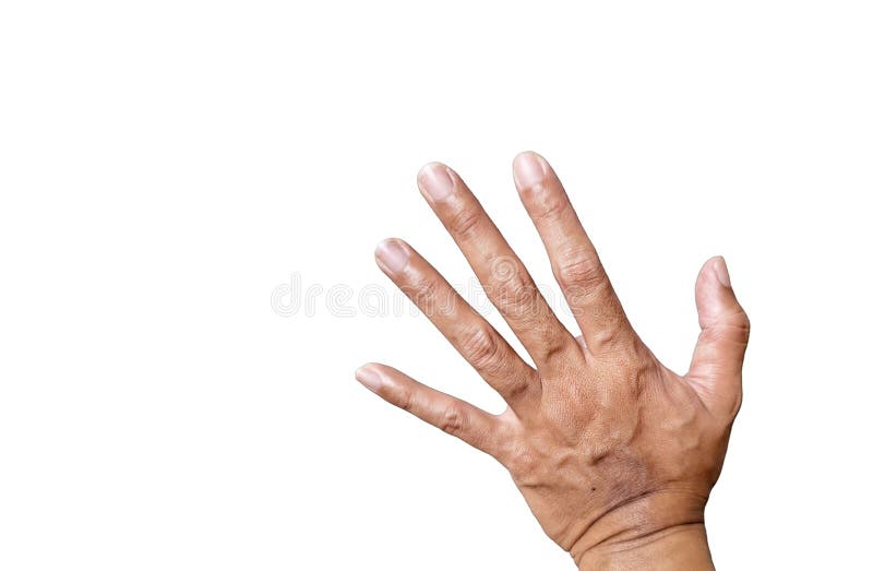 The Back of the Left Hand of a Person with Wide Open Fingers Isolated ...