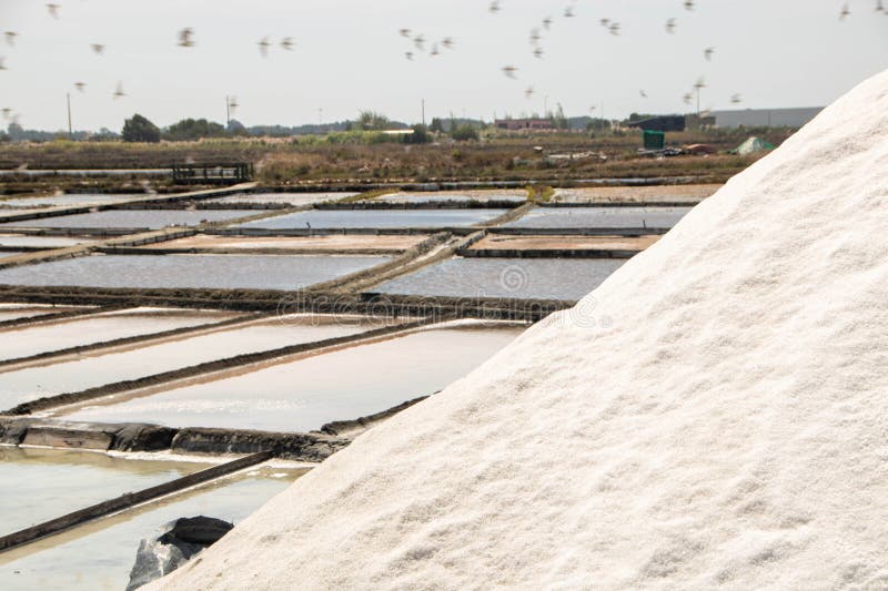 Salinas De Aveiro, Salt Pans of Aveiro Stock Image - Image of landmark ...