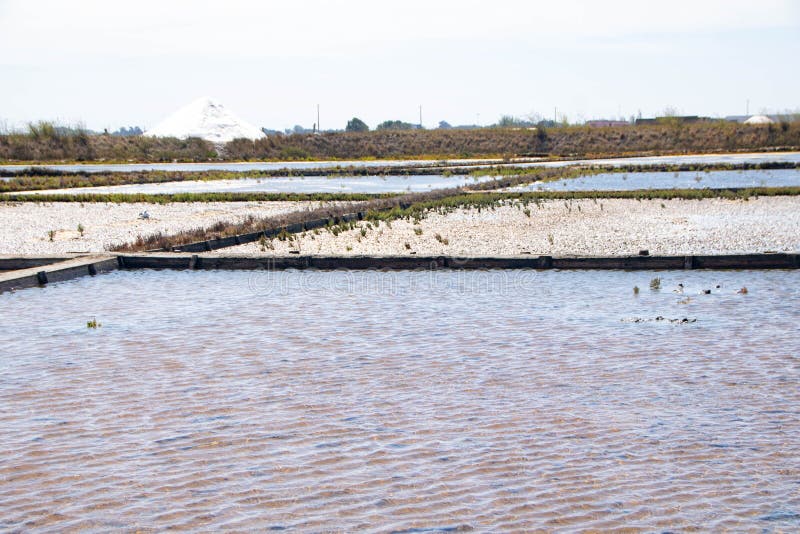 Salinas De Aveiro, Salt Pans of Aveiro Stock Image - Image of flower ...
