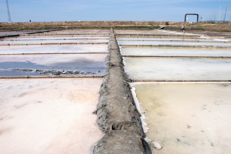 Salinas De Aveiro, Salt Pans of Aveiro Stock Photo - Image of ...
