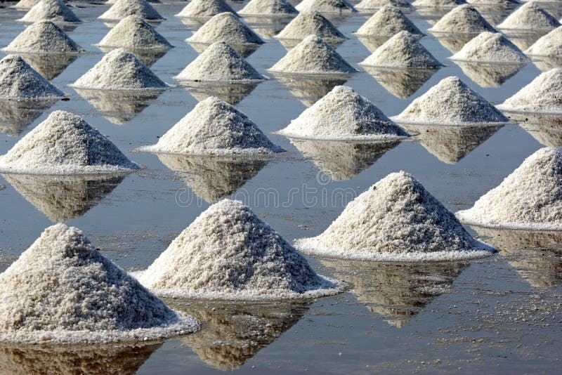 Saline stock photo. Image of saline, color, culture, field - 29049682