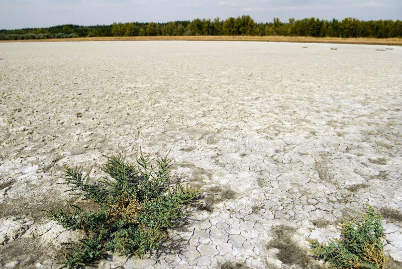 Saline land stock image. Image of horizon, earth, coast - 6697077