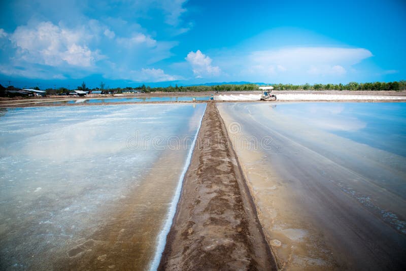 Saline salt from the sea stock photo. Image of people - 75000292