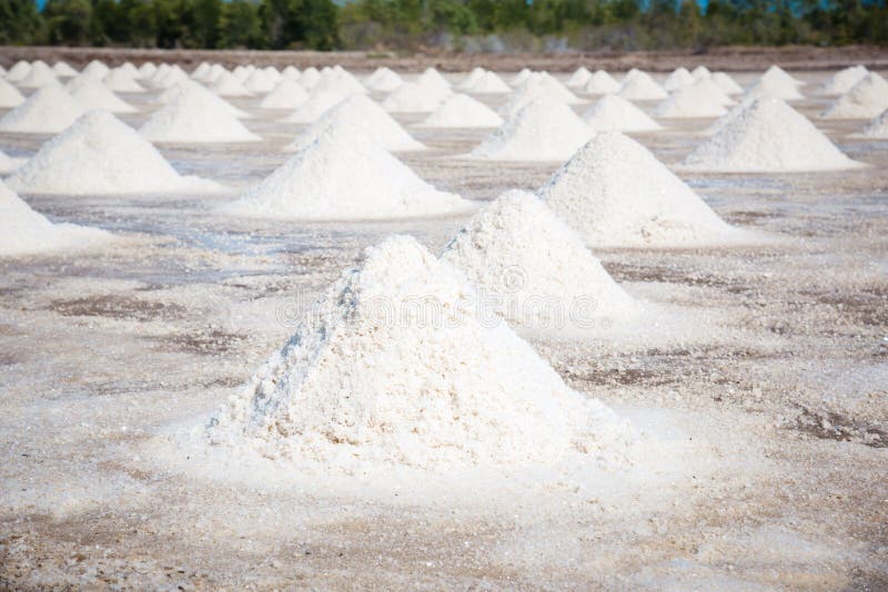 Saline salt from the sea stock image. Image of factory - 75000371