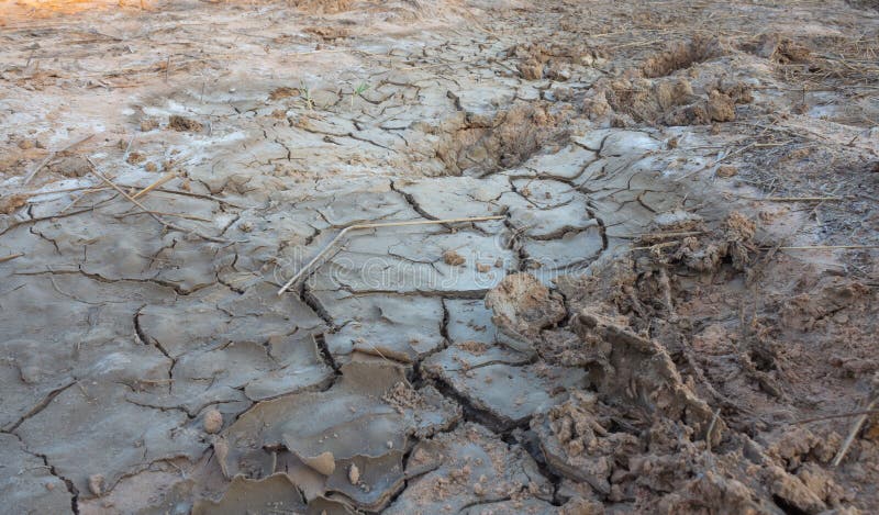 Saline soil stock photo. Image of closeup, environmental - 242480258