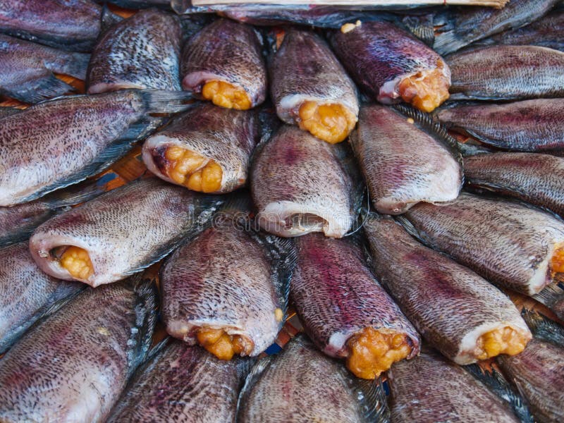 Salit fish on a plate stock photo. Image of crispy, ingredient - 22488726