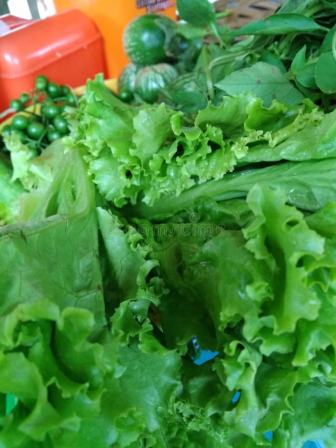 Sallad stock photo. Image of culture, indonesia, sallad - 135414202