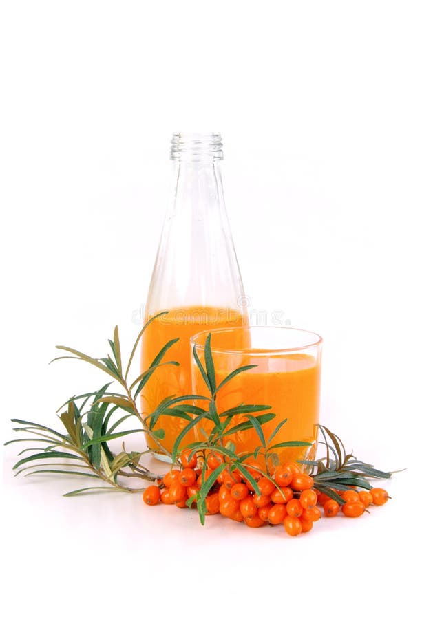 Sallow thorn juice stock photo. Image of plant, bunch - 11323344