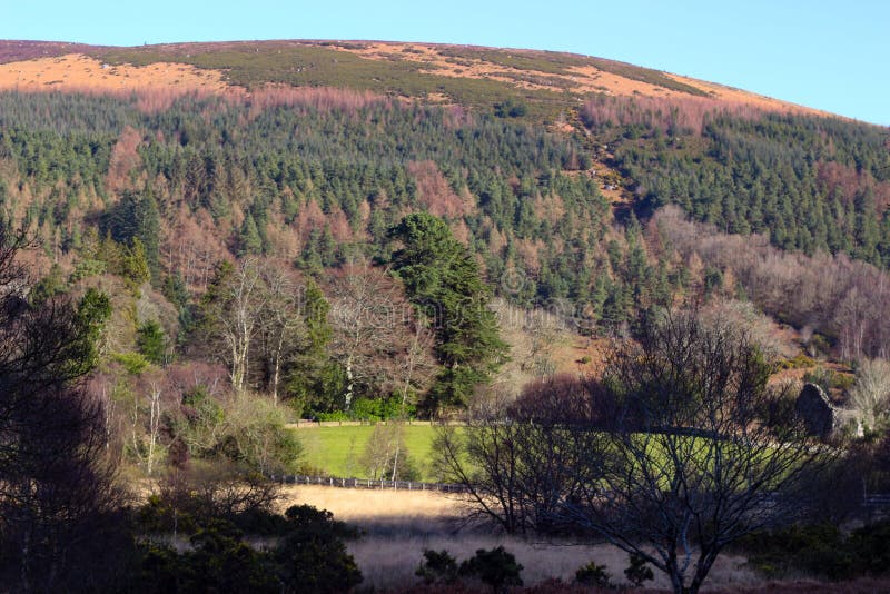 Sally Gap in Wicklow Mountains Stock Image - Image of peaks, blue ...