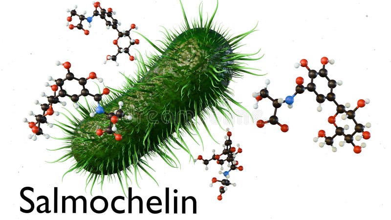 Salmochelin Molecule Produced by Salmonella Species Stock Illustration ...