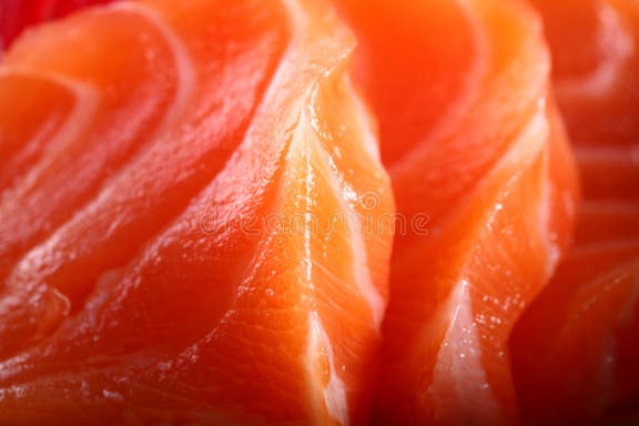 656 Salmon Fish Cross Section Stock Photos - Free & Royalty-Free Stock ...